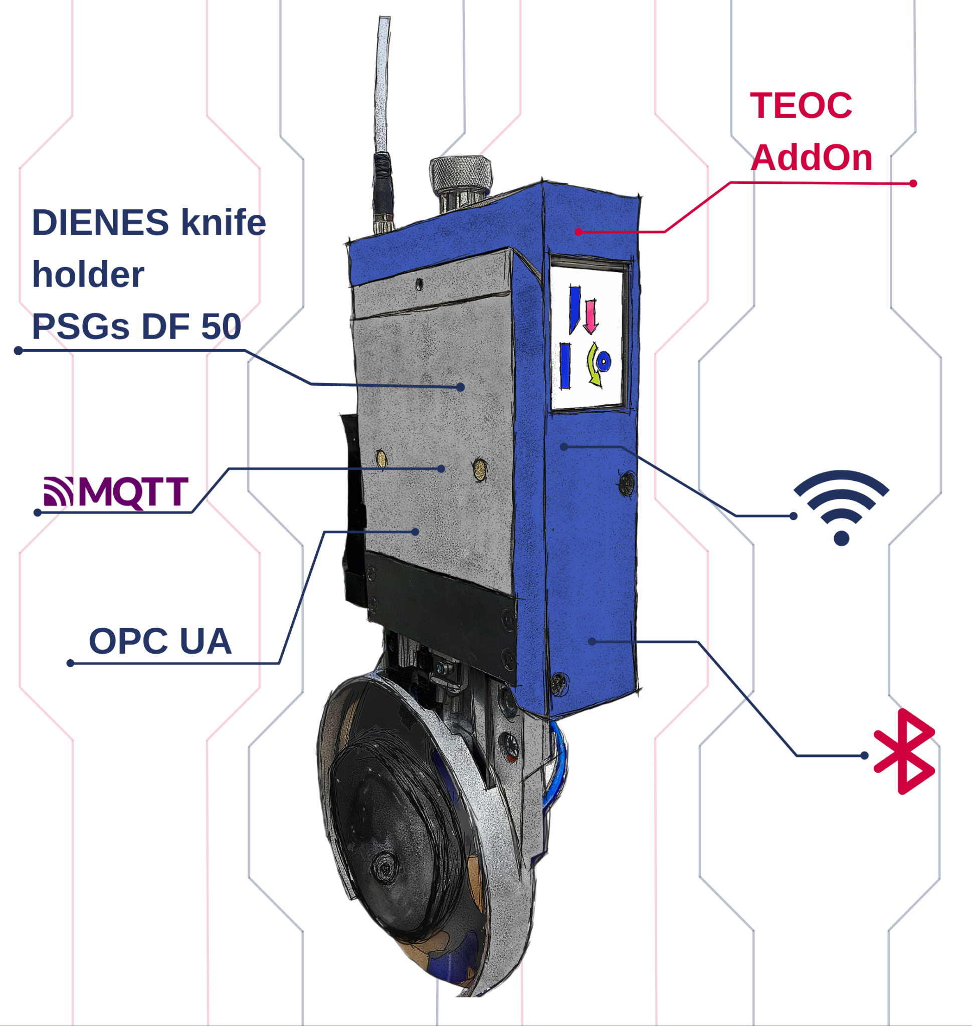 Fokus Innovation und Digitalisierung bei Dienes: Hautnah-Interview mit ...