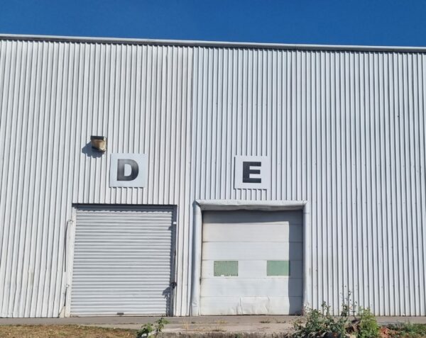 About DIENES - DIENES